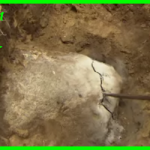 How To Remove A Boulder In Your Back Yard - Gotta Go Do It Yourself